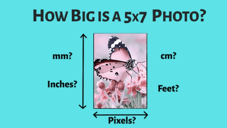 How Big Is a 5×7 Photo? (Pixels, MM, CM & Inches)