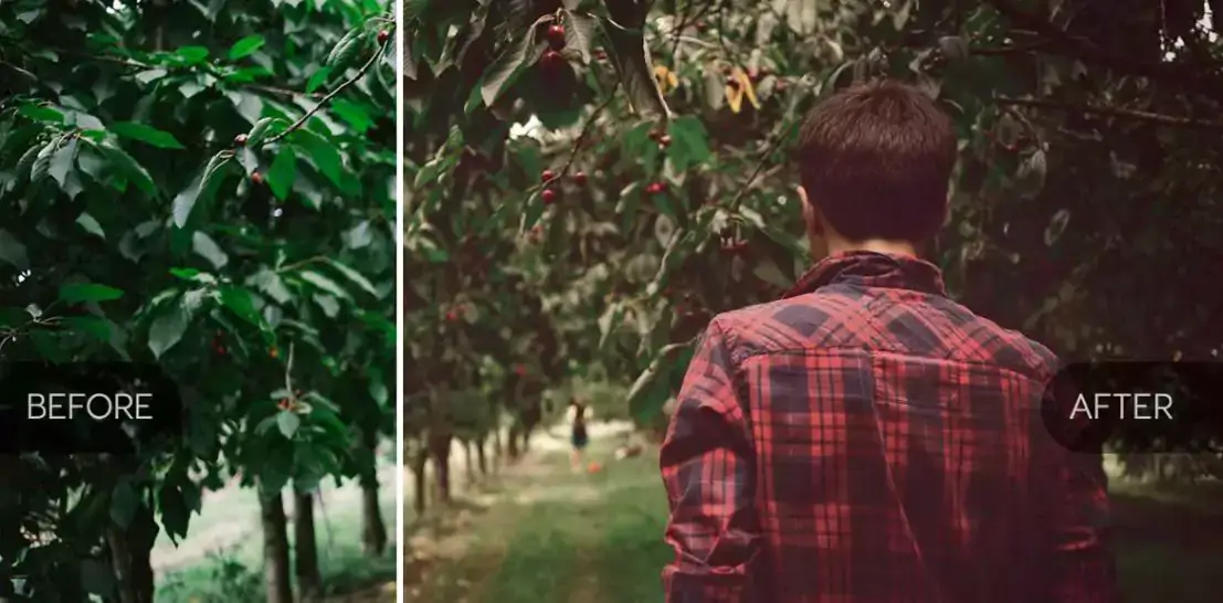 15 Free Photoshop Plugins & Filters for Creative Designers