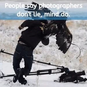 Best Funny Photography Memes for fun